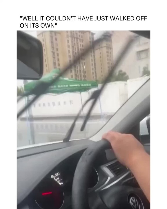 La sua risata sembra come se stesse attraversando - Meme by MMD_Fun ...