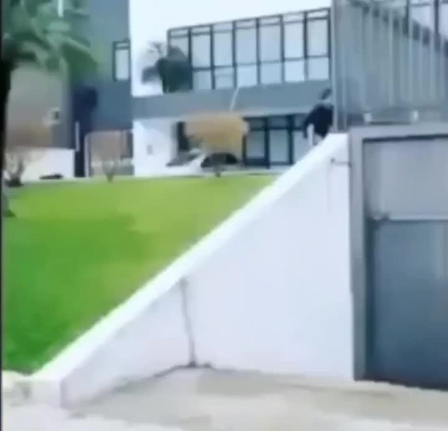 Maico Jequiso ta diferente - Meme by DarcyG :) Memedroid