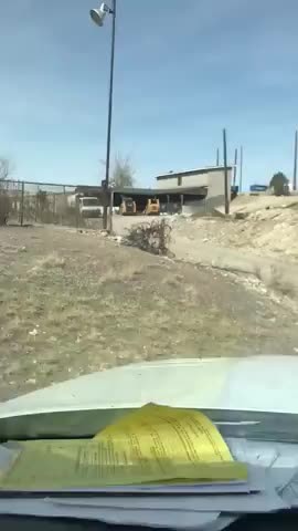 Cabrita sale a saludar - Meme subido por quintube :) Memedroid