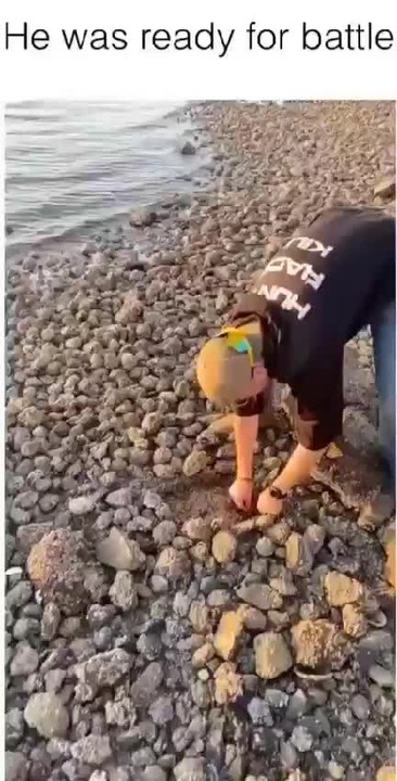 Pokemon IRL - Meme by MMD_Fun_Agent :) Memedroid