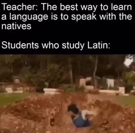 Immersive experience - Meme by mafiadax :) Memedroid