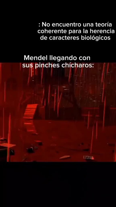 mendel llegando con sus chícharos a arreglar mis dudas existenciales ...
