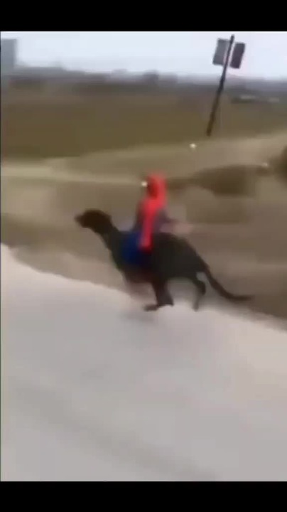 Córrele mano que no van a caer a coñazo - Meme by Duolingochad :) Memedroid