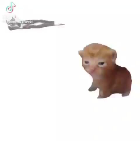 omagaaaa - Meme subido por AsGaDelUwU :) Memedroid