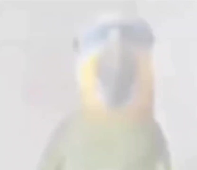 Sim - Meme by GIGAN :) Memedroid