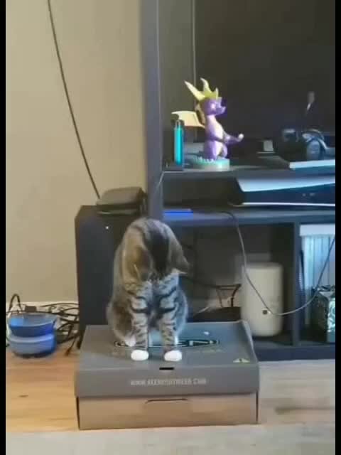 Sibling activities - Meme by Cliffy_99 :) Memedroid