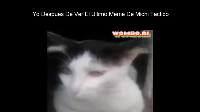 Michi Tactico Matate Porfa - Meme subido por QuincyHomofobico :) Memedroid