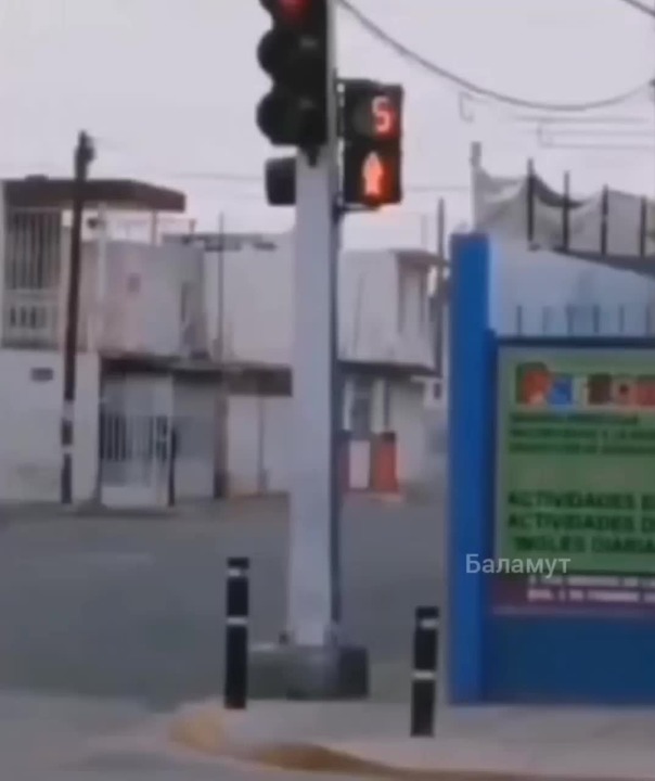 RUN BITCH RUN - Meme by PASSWORD123456789 :) Memedroid