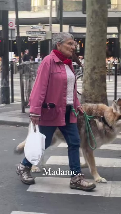 Lady with wolfy in Paris - Meme by LindsYoung :) Memedroid