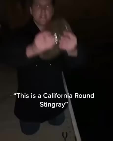 Stingray - Meme by Zeio44 :) Memedroid