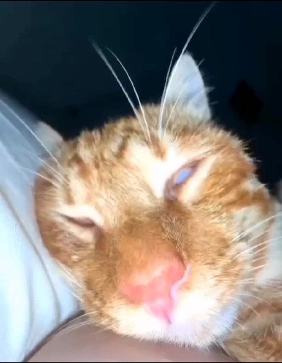 El marciano - Meme subido por vicecity123f :) Memedroid