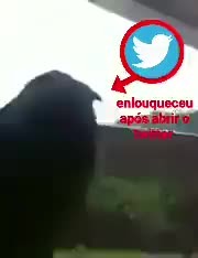 Fiquei assim quando abri essa bosta. - Meme subido por PedroJosefino ...