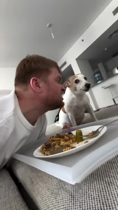 defendiendo la comida como el - Meme subido por crazyShadow :) Memedroid