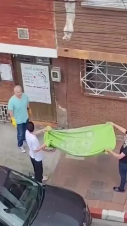 Catto you've being rescued - Meme by AloneKaven :) Memedroid