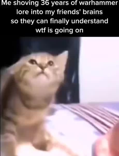 Warhammer 40k lore meme - Meme subido por DraconianMelon :) Memedroid