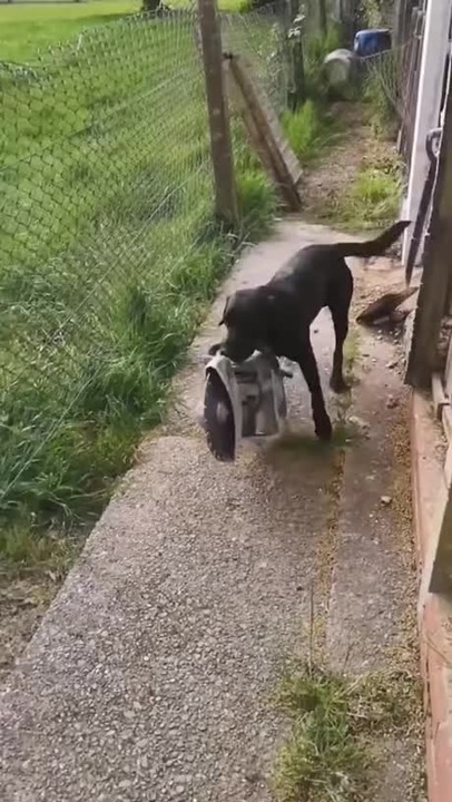 Tiene un proyecto entre manos - Meme by svaa25 :) Memedroid