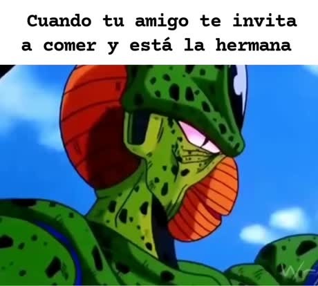 El amigo que siempre intenta ligar con tu hermana - Meme subido por ...