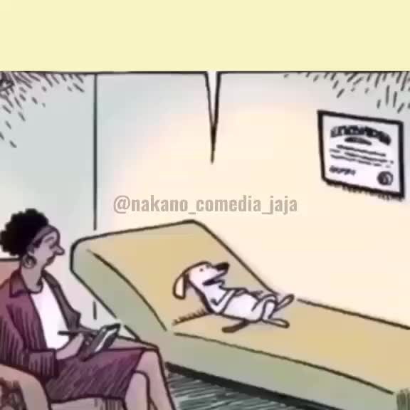 Perro - Meme subido por sofiamortty :) Memedroid