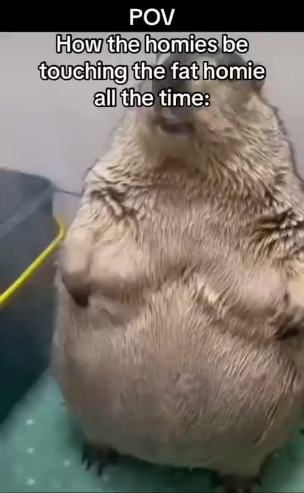 ah you so chubby - Meme by SaintChristian7 :) Memedroid