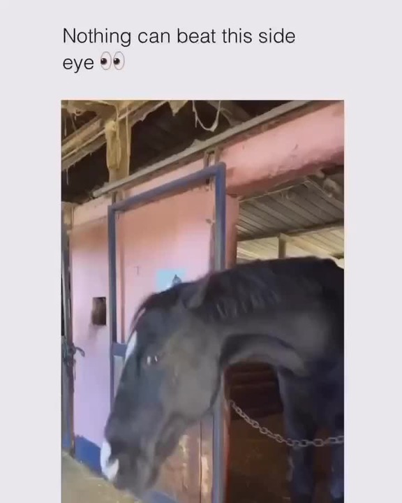 Side eye - Meme by PASSWORD123456789 :) Memedroid