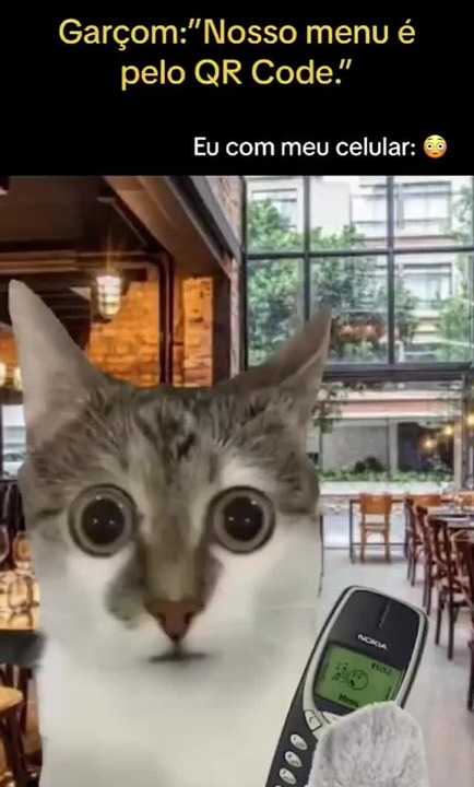 Se o garçom me fala que o menu é por QR code eu me levanto e vou embora ...