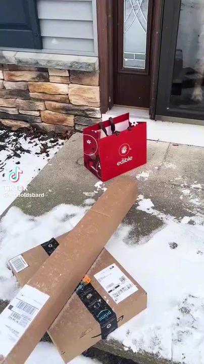 Dude this is the best acorn I've ever eaten - Meme subido por Mireska ...