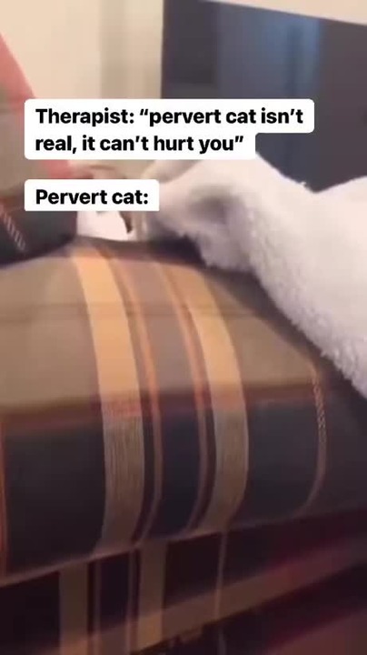 Pervert cat - Meme subido por seanahashram :) Memedroid