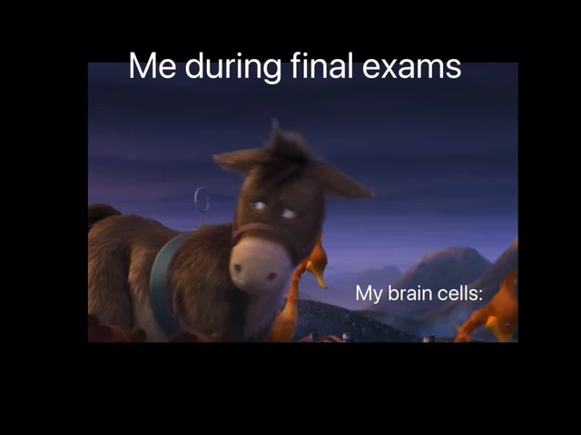 Me during final exams - Meme by bozo6969420mmmmyes :) Memedroid