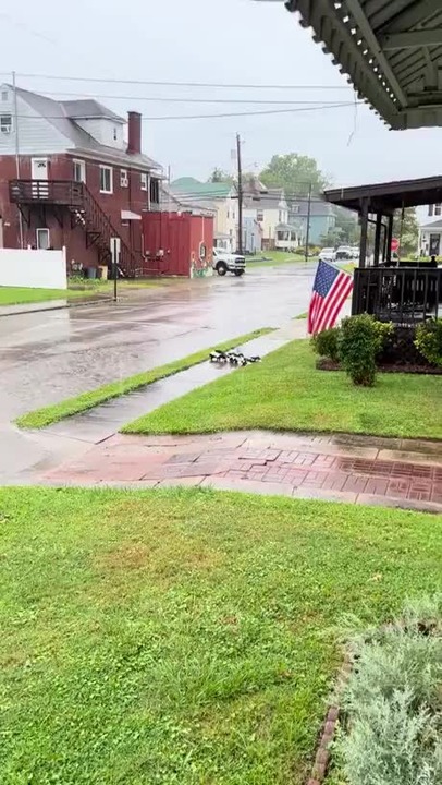 Little skunk family sticking together - Meme by OVERKILL_BA :) Memedroid