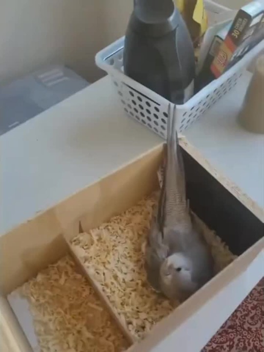 Corte seco - Meme by Casca :) Memedroid