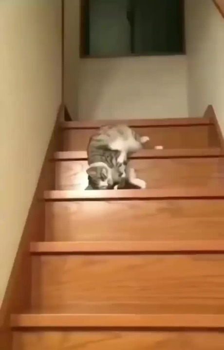 bajando por las escaleras un lunes cualquiera - Meme subido por ...