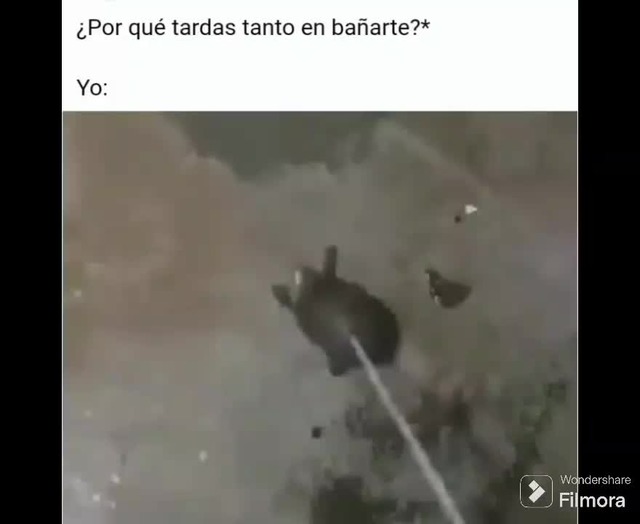 Soy ese - Meme subido por Randomazo_tercero :) Memedroid