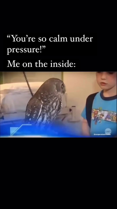 WHO calm!??? - Meme by Alivetipo :) Memedroid