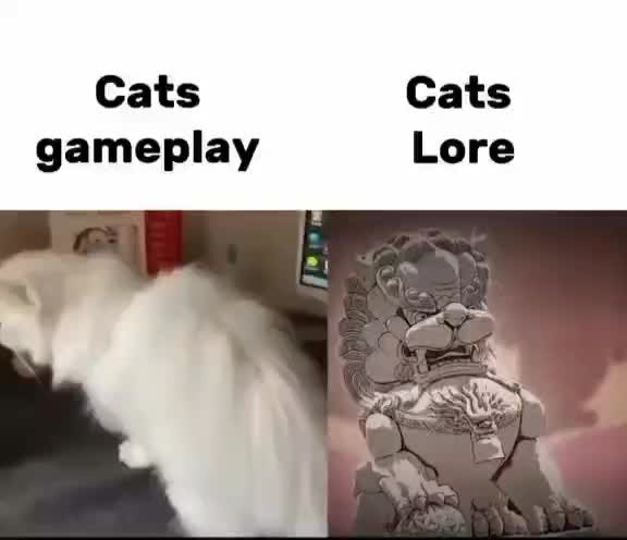 Cat gameplay vs Cat lore - Meme by MMD_Fun_Agent :) Memedroid