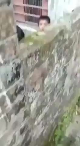 Must've been the wind - Meme by Peebee :) Memedroid