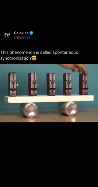 Spontaneous synchronization is lowkey a magic trick - Meme by Faahhrgan ...