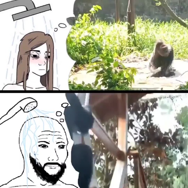 Monkēē - Meme subido por YourOtherLeft :) Memedroid