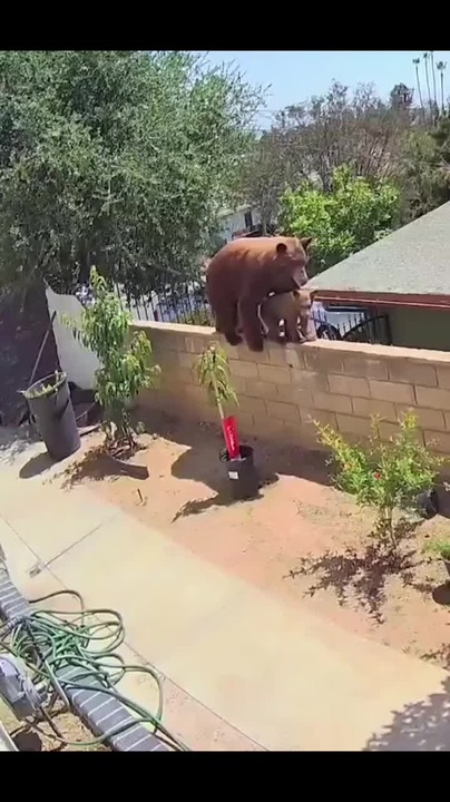 Que ruda - Meme subido por Comegalleticasfrias :) Memedroid