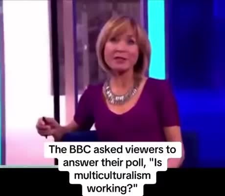 Is multiculturalism working BBC pool - Meme by Mustafafleur :) Memedroid