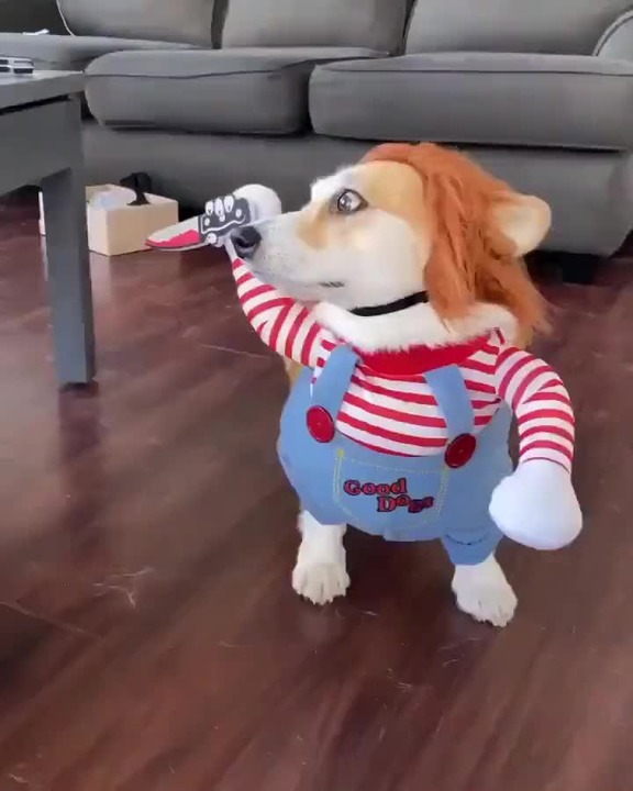 Terrifying - Meme subido por RedmanReaction :) Memedroid