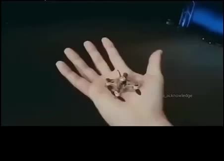 Hitman drone - Meme by mudhonor :) Memedroid