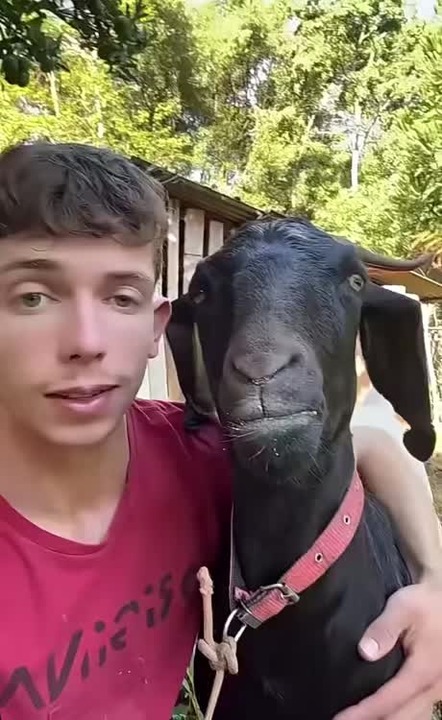 They look alike lmao - Meme by captaintropical :) Memedroid