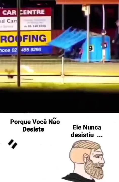 O Cachorro é Claramente Botaguese Meme Subido Por Detudoamigo