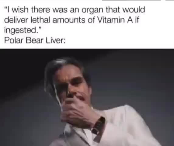 Funny polar bear memes - Meme by avegfoul :) Memedroid