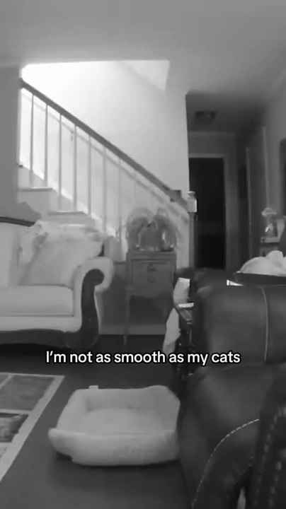 Fell and still didn’t miss a single step - Meme by dayxah :) Memedroid