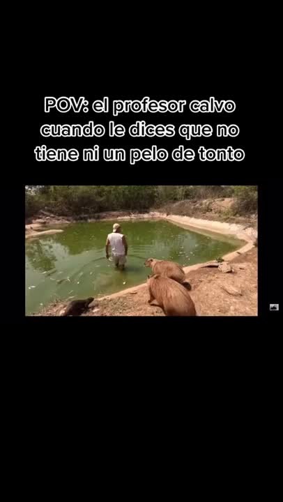 El profesor calvo - Meme subido por xtrameme :) Memedroid