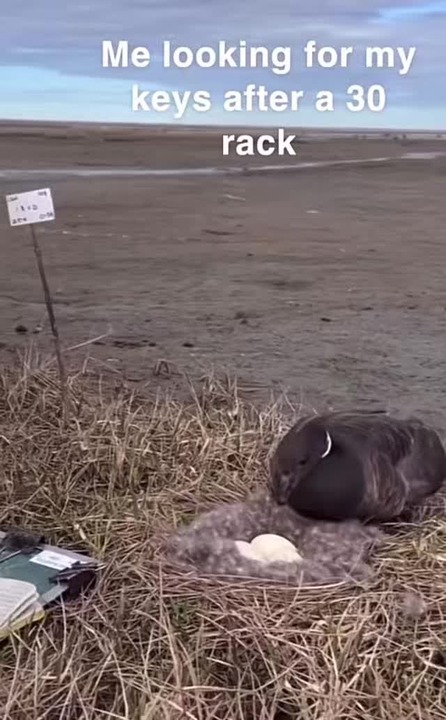 Where'd they go - Meme by Knot_daddy :) Memedroid