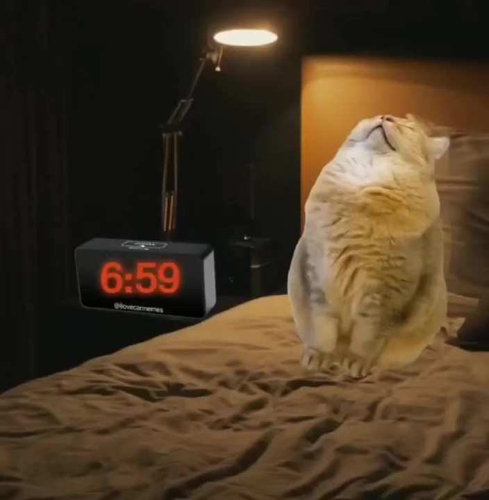 Alarm clock - Meme by Knot_daddy :) Memedroid