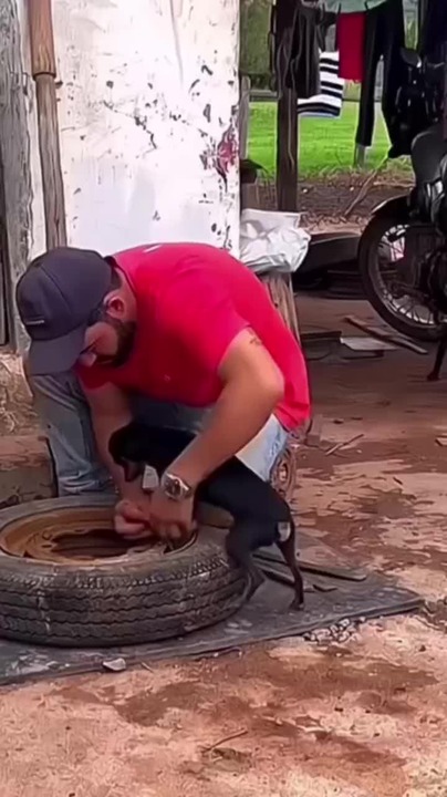 Cyclone - Meme by DrachenSchwarz :) Memedroid