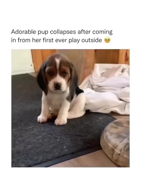 Sleep tight little one..so adorable - Meme by MemeTheVersed :) Memedroid